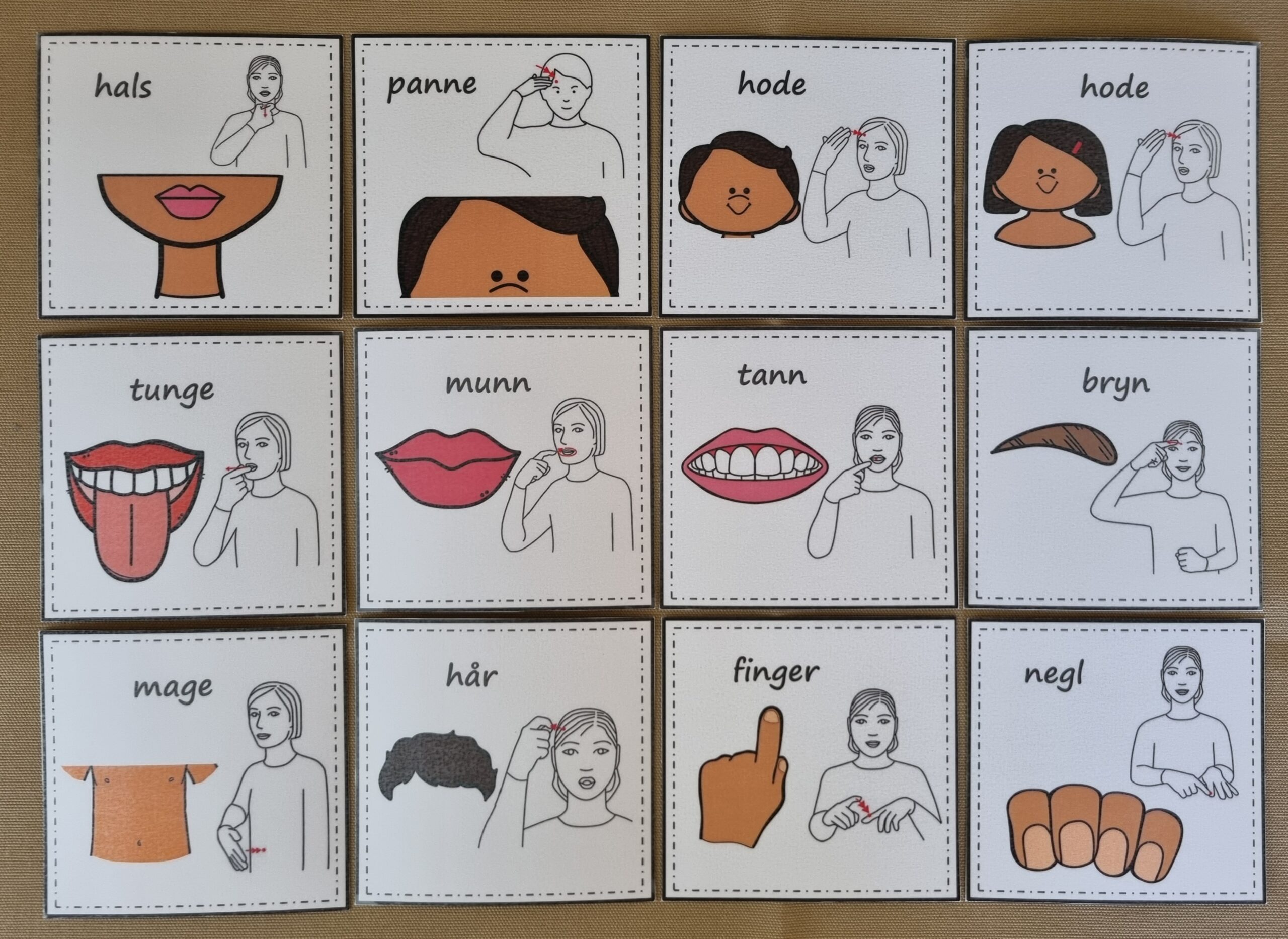 Kroppen min – Tegnsentralen